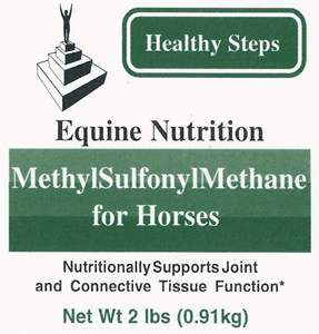 Shop | Healthy Steps LLC